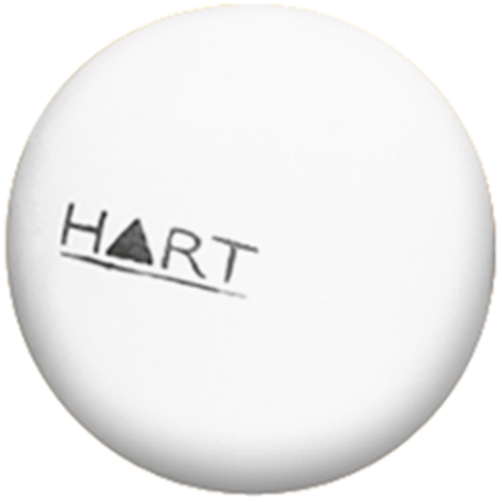 HART COMPETITION SHOT PUT - CAST IRON & MACHINED TO HIGH QUALITY ...